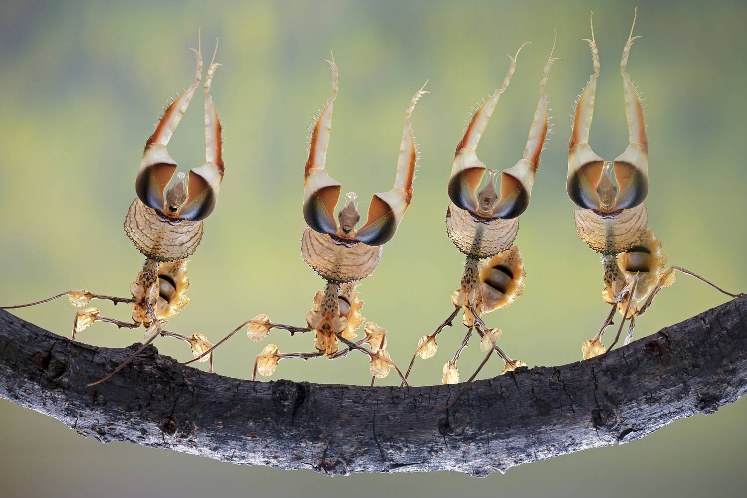 18 лучших фото 2020 года, 35AWARDS, призеры — Российское фото